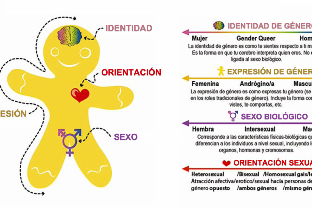 La identidad de género y el sexo biológico: diferencias y similitudes